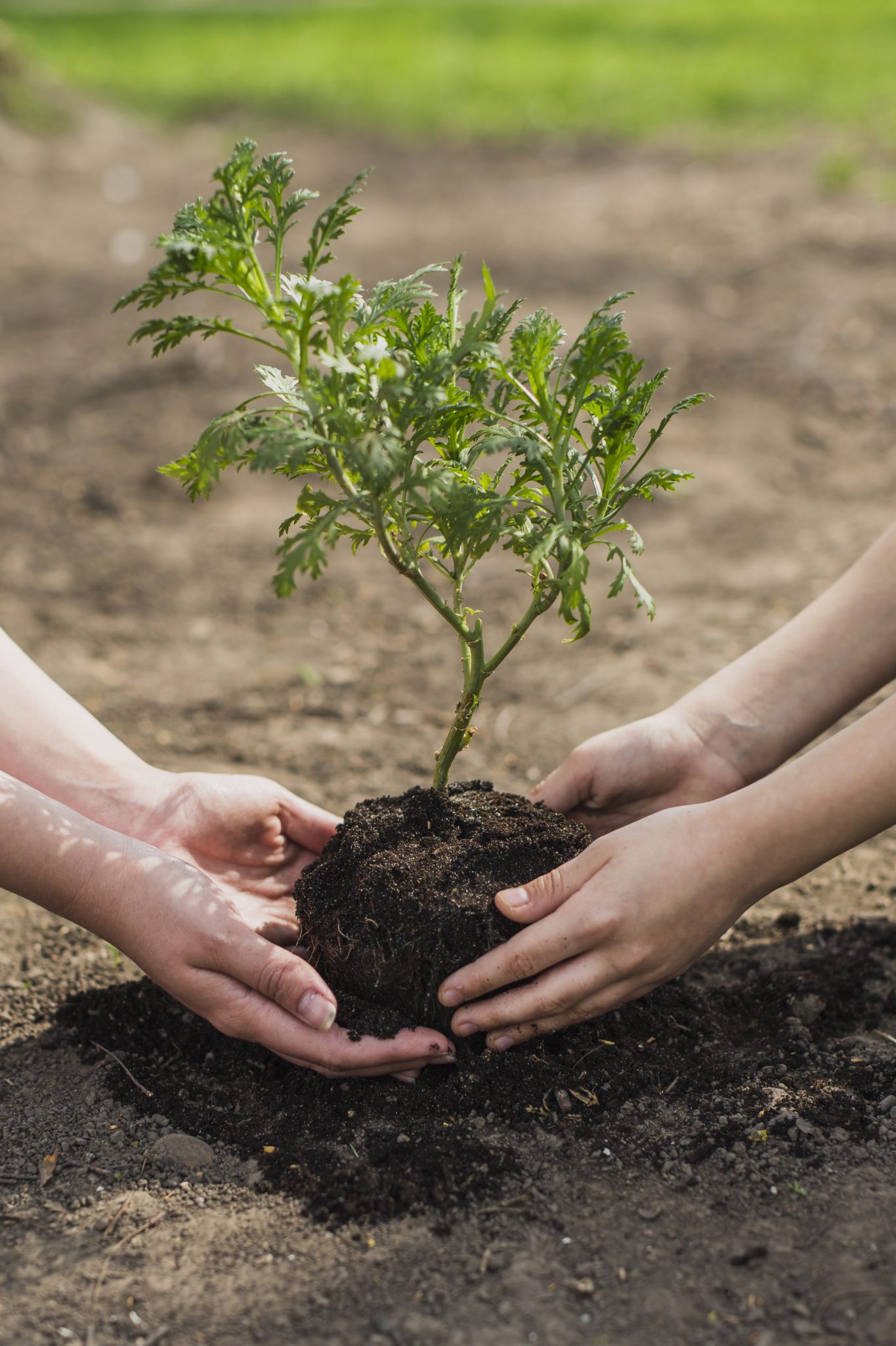 Ajutor deces – CAR Sidex